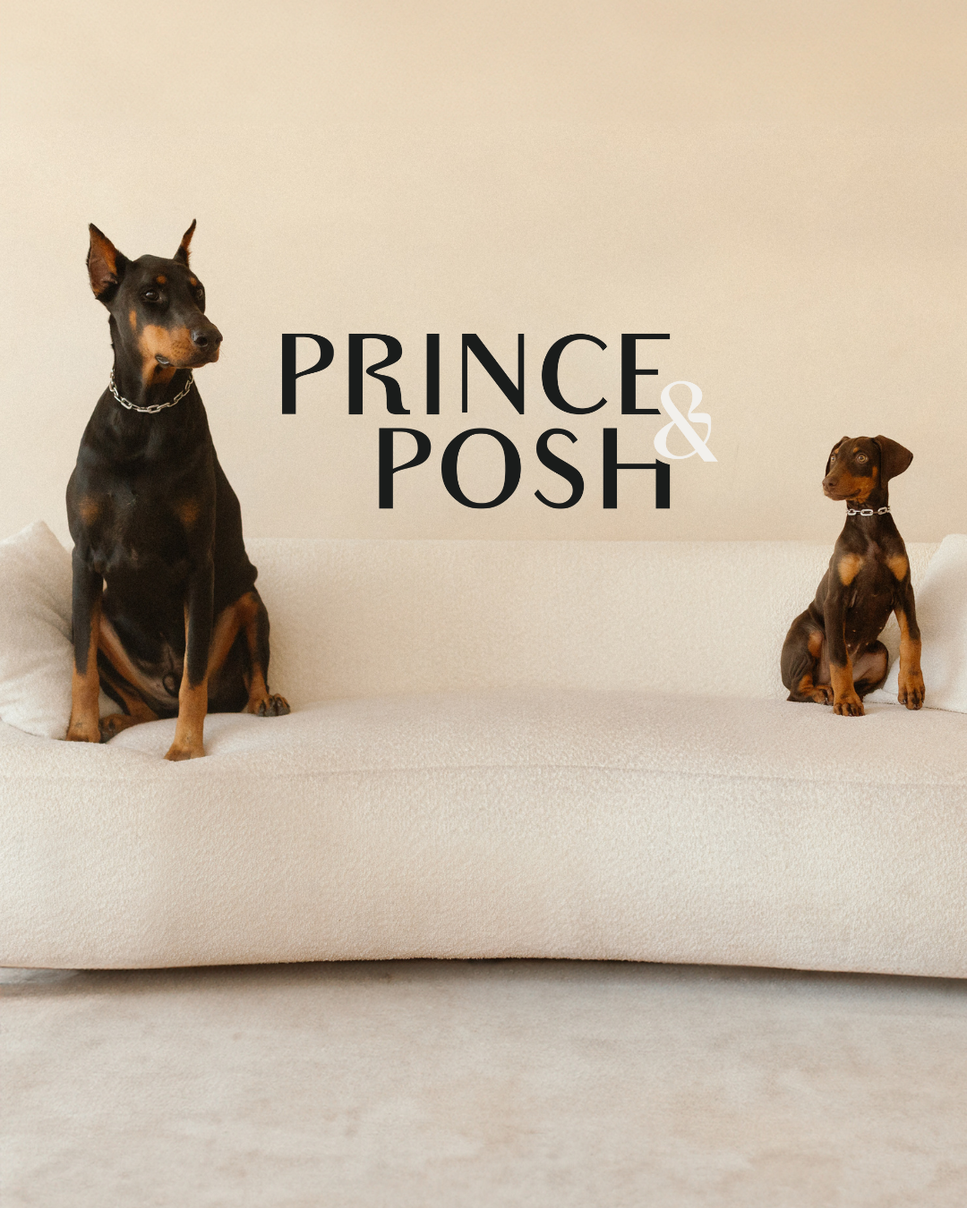 Luxury Accessories for Pets and Pet Parents – Prince and Posh